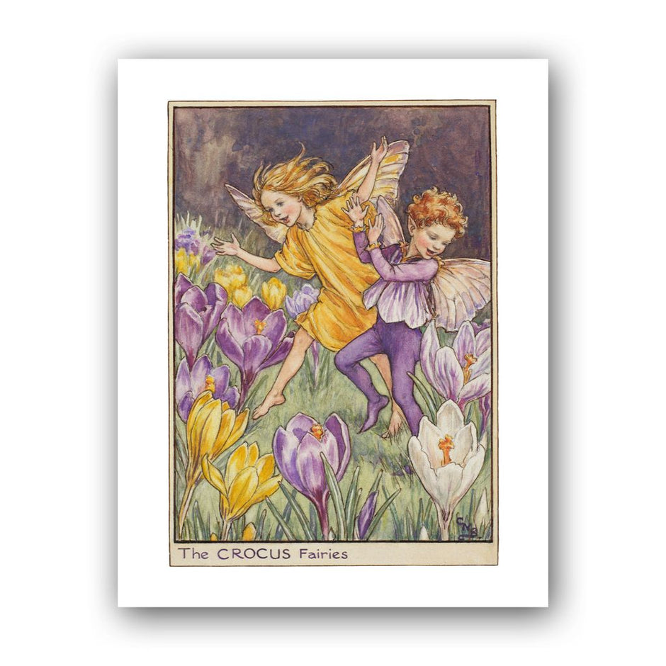 Spring Fairies – Flower Fairies Shop